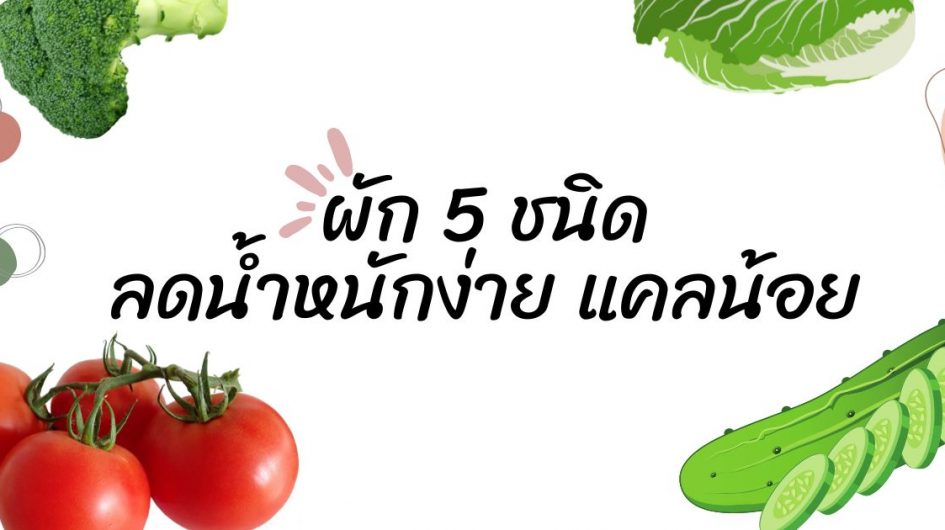 Workoutkan - รับเคล็ดลับดูแลสุขภาพกันเลยที่นี่